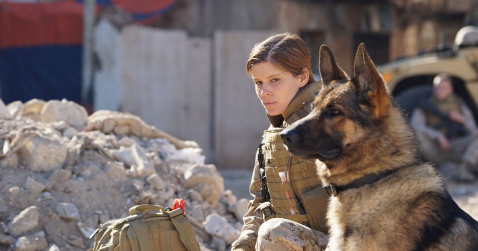 Sergente Rex: torna il cane prodigio della tv, tutto sul film tratto da ...