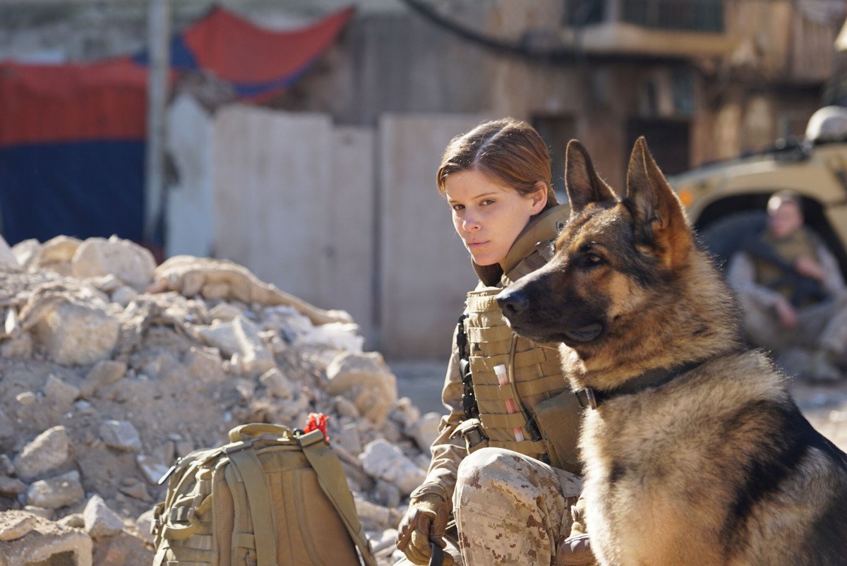 Sergente Rex: torna il cane prodigio della tv, tutto sul film tratto da ...