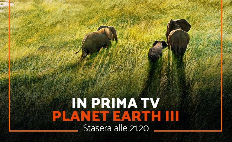 Planet Earth III: stasera 4 settembre seconda puntata, i documentari ...